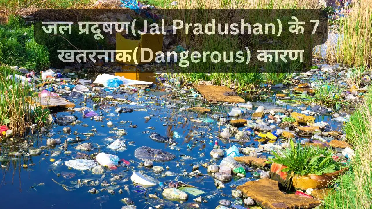 जल प्रदूषण(Jal Pradushan) के 7 खतरनाक(Dangerous) कारण जो आपकी सेहत ...